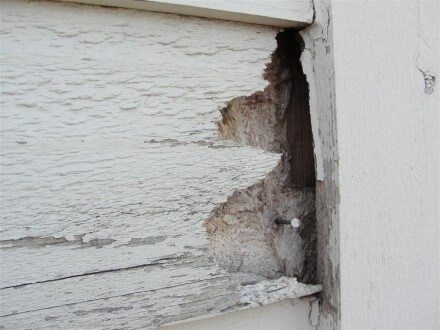 Wood Chimneys Deserve A Closer Look - StarTribune.com